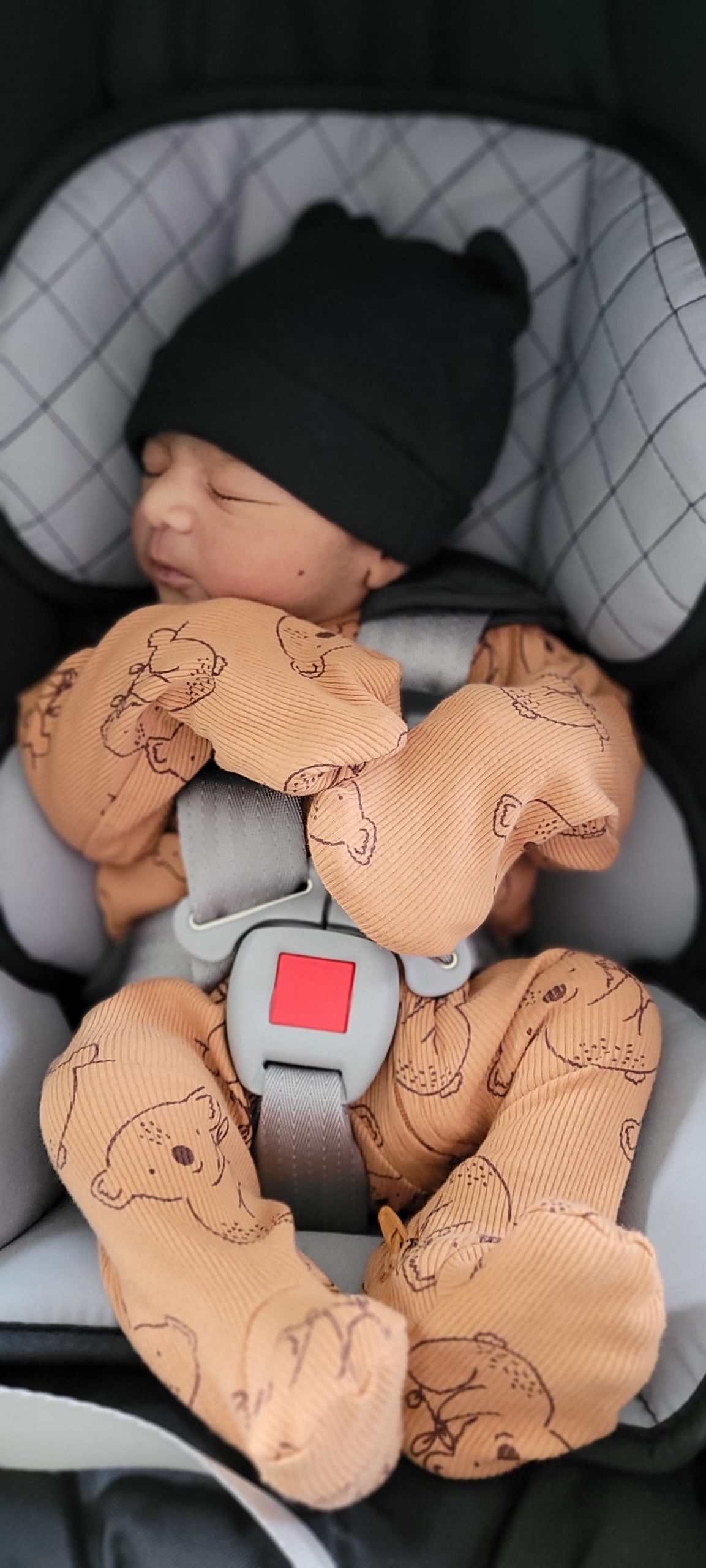 Photos | Suib Group Website